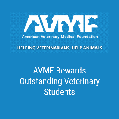 Login | AVMF Scholarships